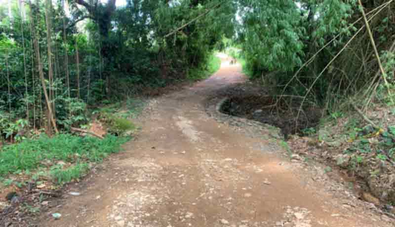 Cooperativa pide a Obras Públicas construir pequeño puente sobre río ...
